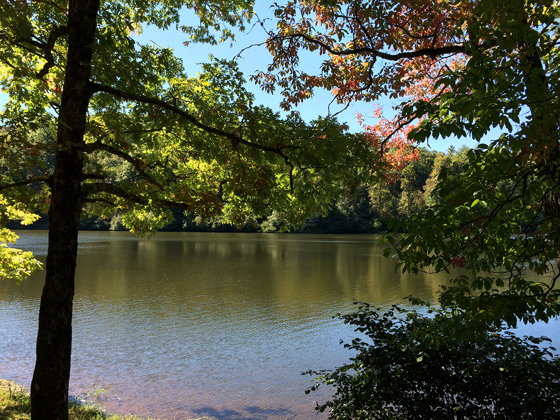 A Bodacious Birthday Cake! | bits and breadcrumbs