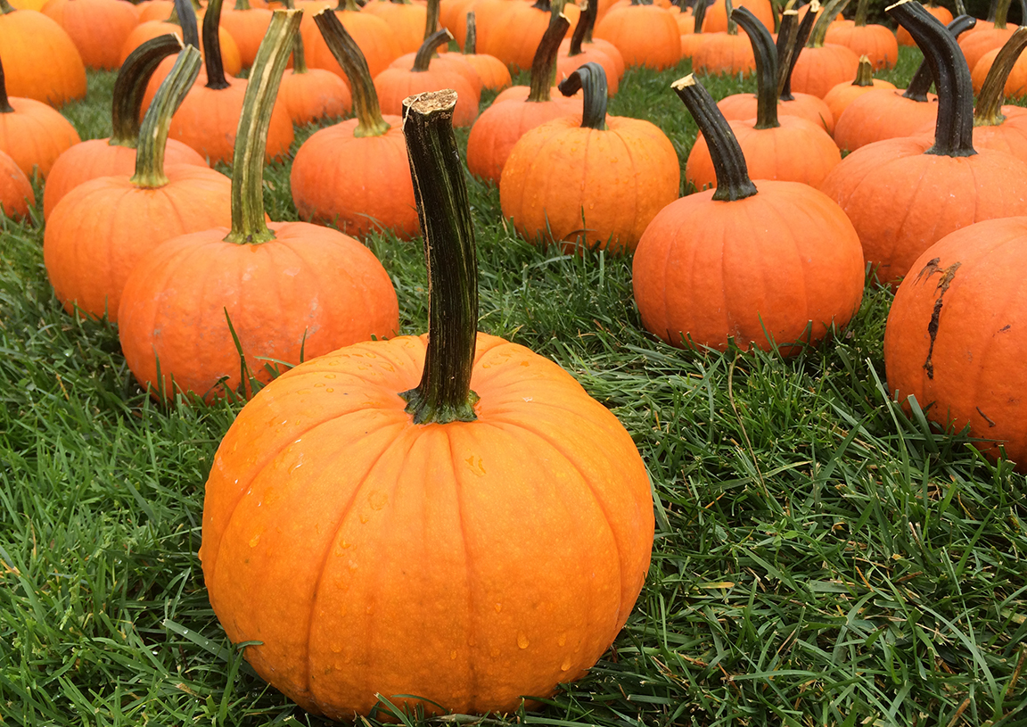 A Bodacious Birthday Cake! | bits and breadcrumbs