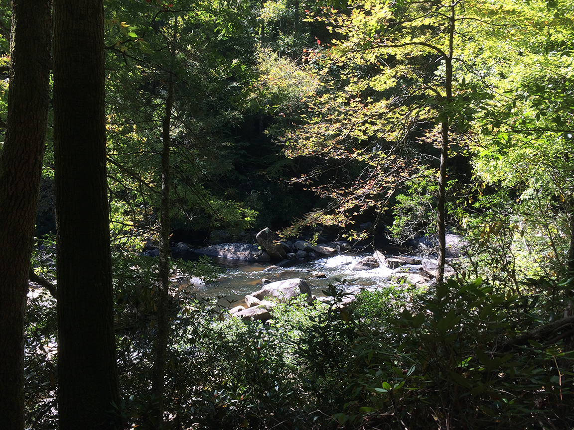 A Bodacious Birthday Cake! | bits and breadcrumbs