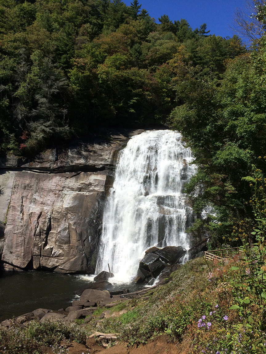A Bodacious Birthday Cake! | bits and breadcrumbs