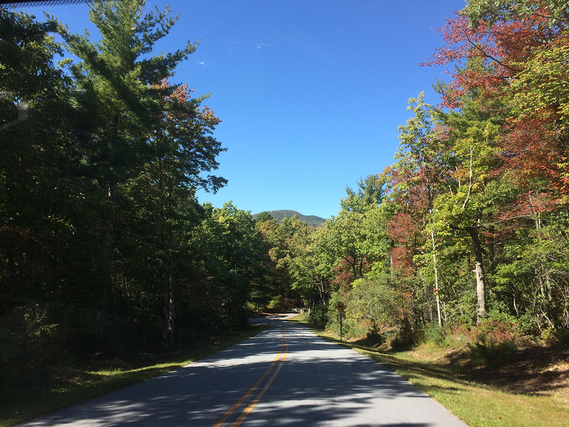 A Bodacious Birthday Cake! | bits and breadcrumbs